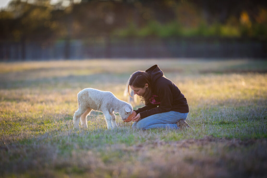 Animals Index - Edgar's Mission Farm Sanctuary