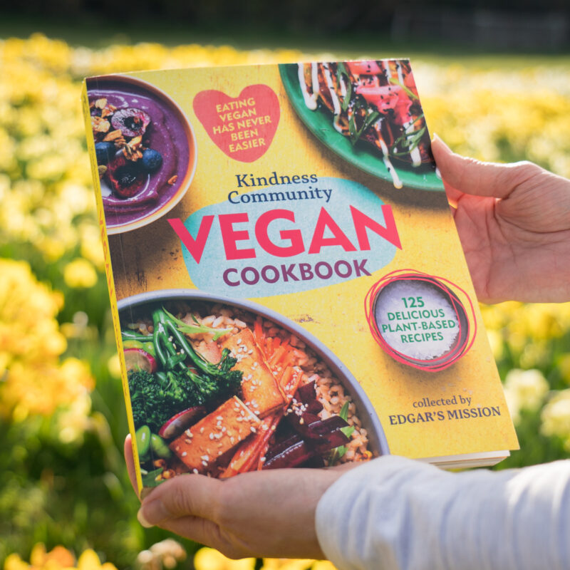 Shop - Edgar's Mission Farm Sanctuary