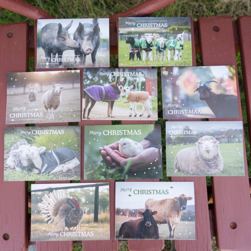 Shop - Edgar's Mission Farm Sanctuary